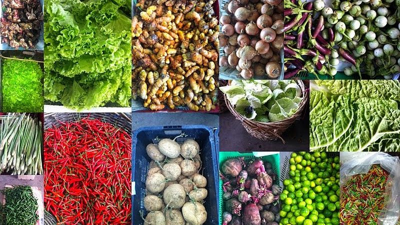 Small Scale Exporters to get Government Supports - SME Digest!